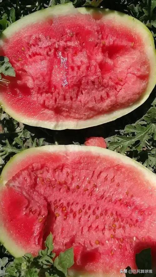 Which fruits in Xinjiang make you drool? - iNEWS