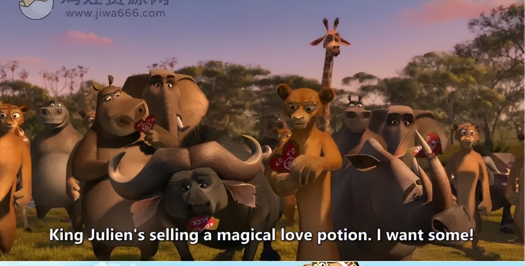 Social Reflection on Animal Characters and Social Observation in the ...