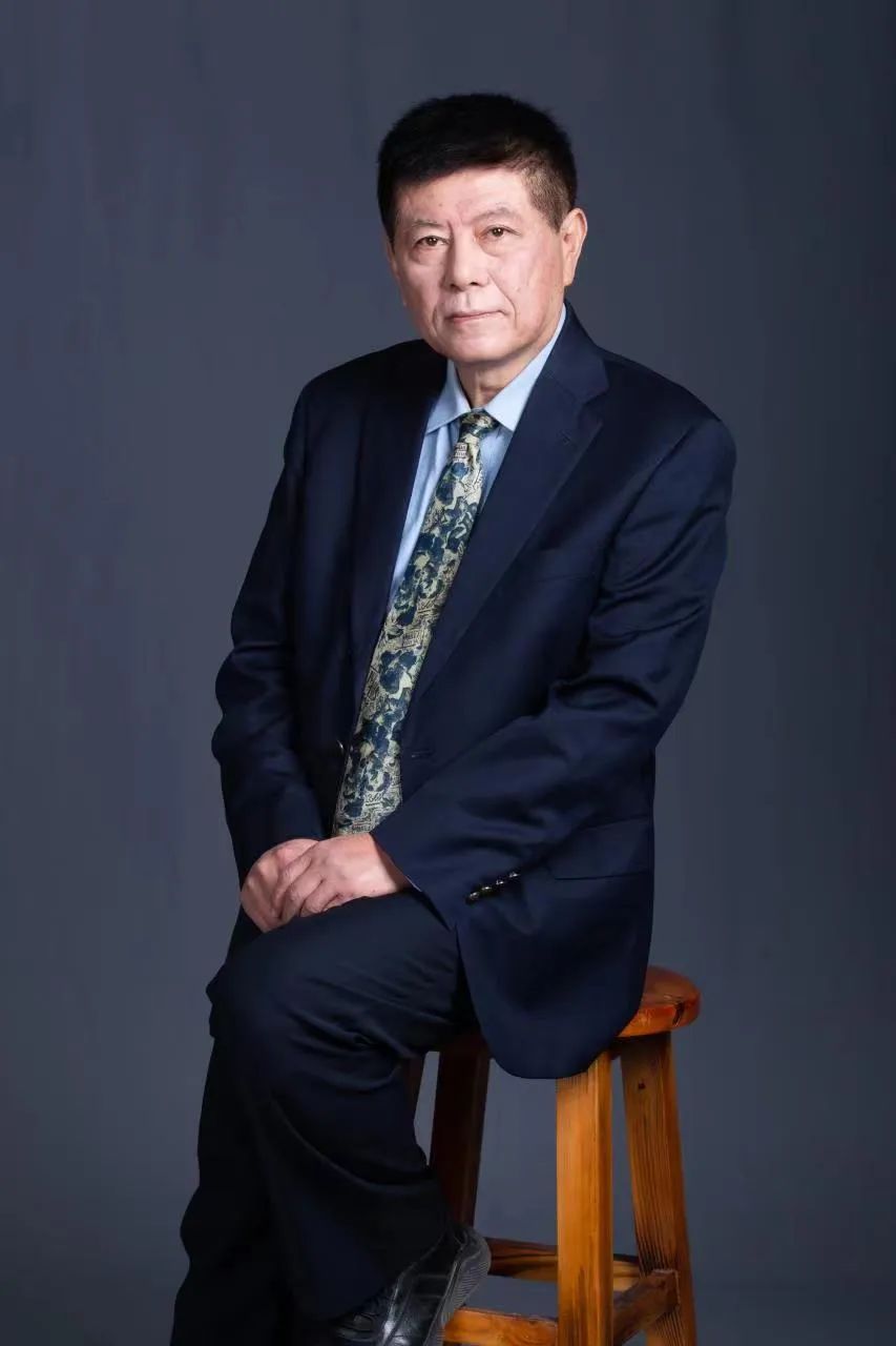 Harmony but Difference: The Wisdom of Chinese Culture in Fei Xiaotong's ...