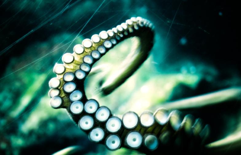 Paleontological assemblages in Western Hunan: Features of ...