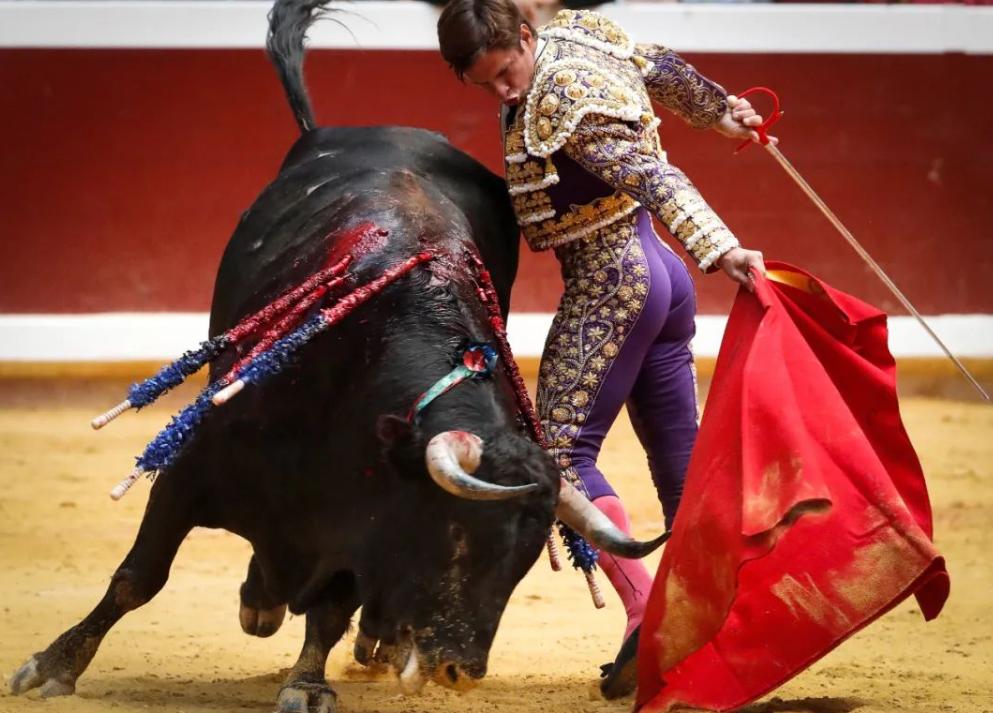 Bullfighting clothing: do you know the cultural connotation of the ...