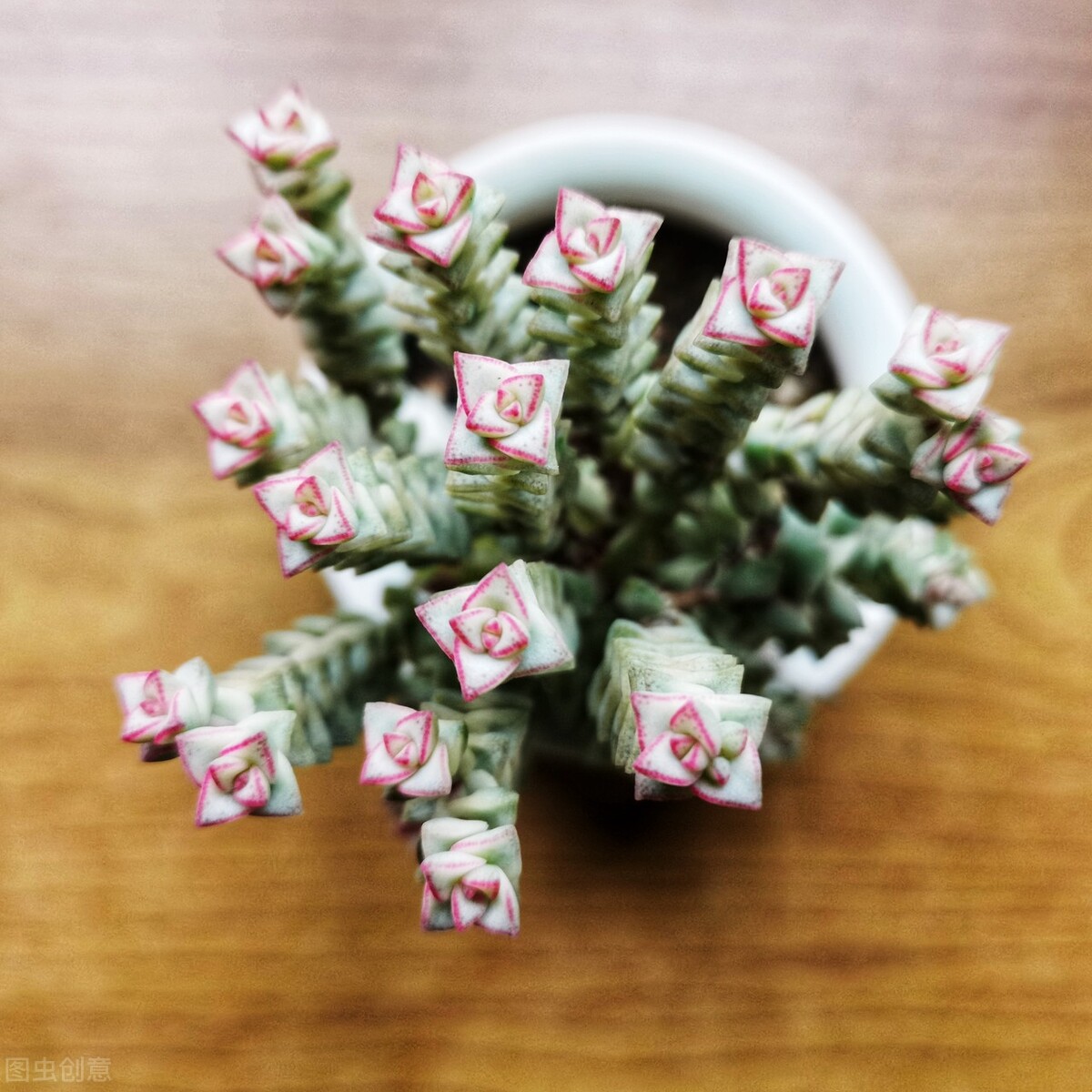 In the summer, the "longer and smaller" money string will be done in ...