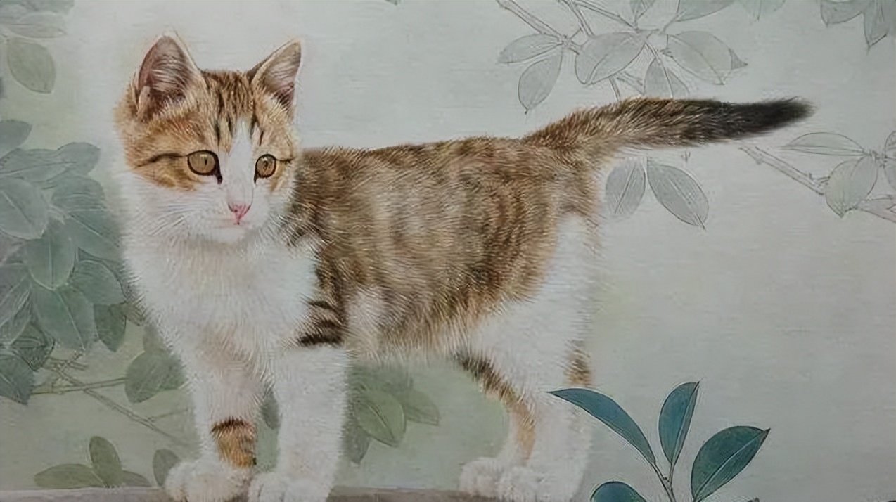 Su Dongpo: "Hungry mice snatch the wall, my sister draws cats to ...