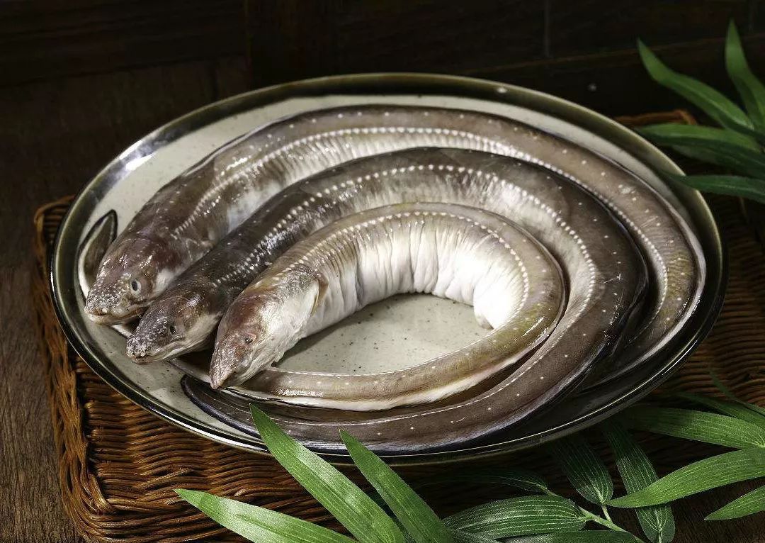 A must for lazy people!Teach you the nutritious steamed eel with garlic ...