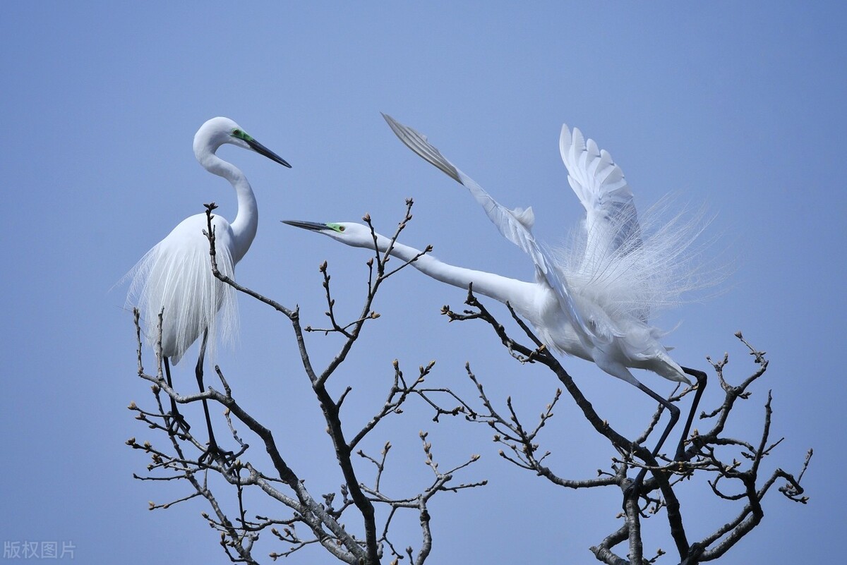 The Life of Poet Meng Jiao - iNEWS