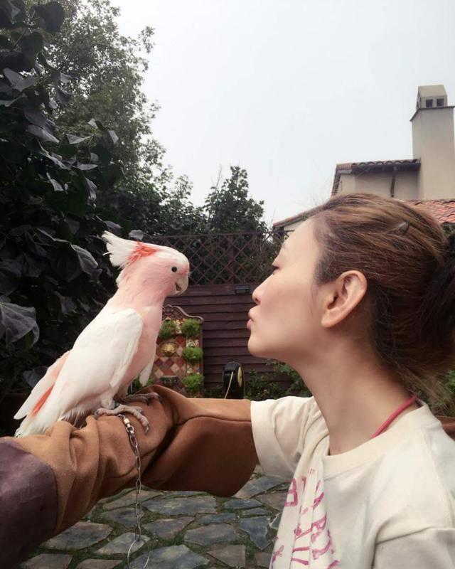 Some people say that Xu Jianing is fat, Li Xiaoran immediately stood up ...