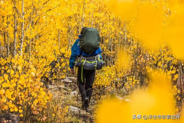Tired of climbing?Learn this trick, let you easily climb to the top - iNEWS