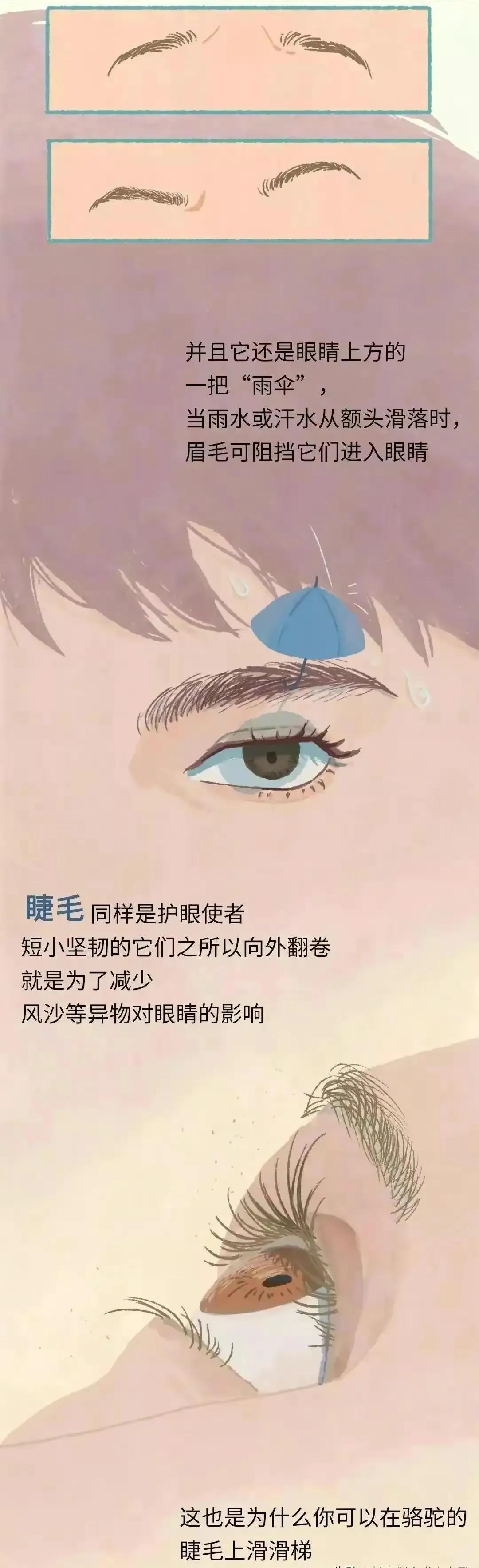 What are the functions of armpit hair, pubic hair, and nose hair? - iNEWS