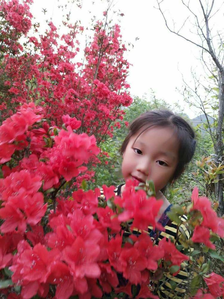 In spring, go to Douhongpo, the highest peak in Baise Longlin, to see ...