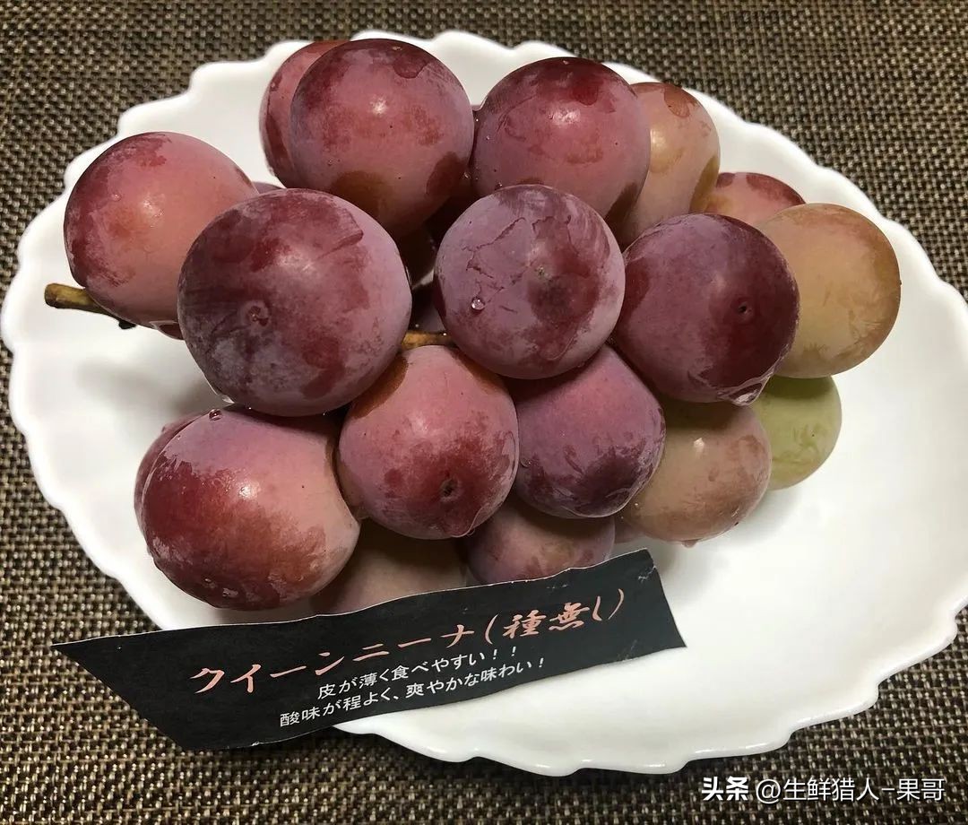 Queen Nina, romantic ruby, romantic red grape, who is the real king - iNEWS