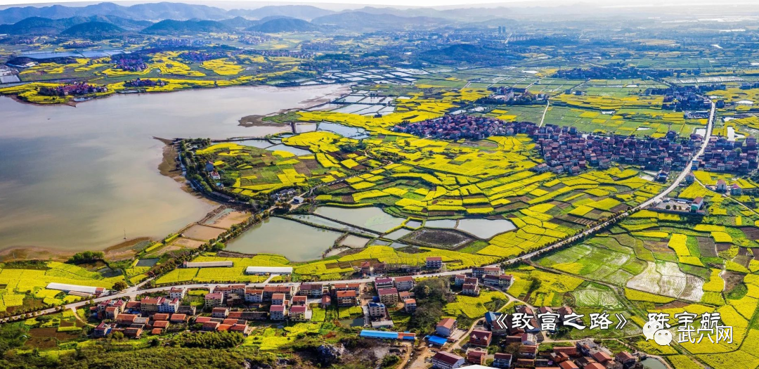 Come to Wuxue, I will "raise" you - iNEWS