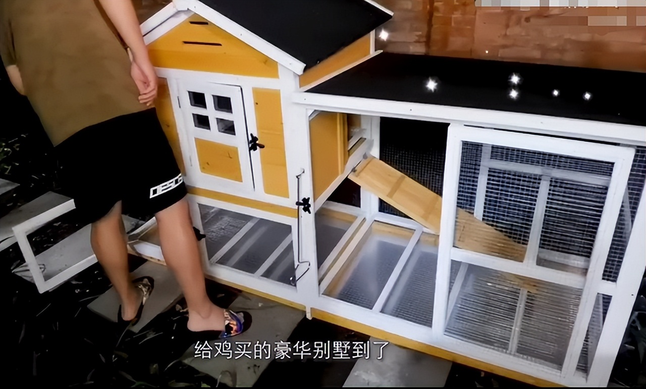 Zheng Kai's wife raises chickens in a mansion in Shanghai!Carrying a ...