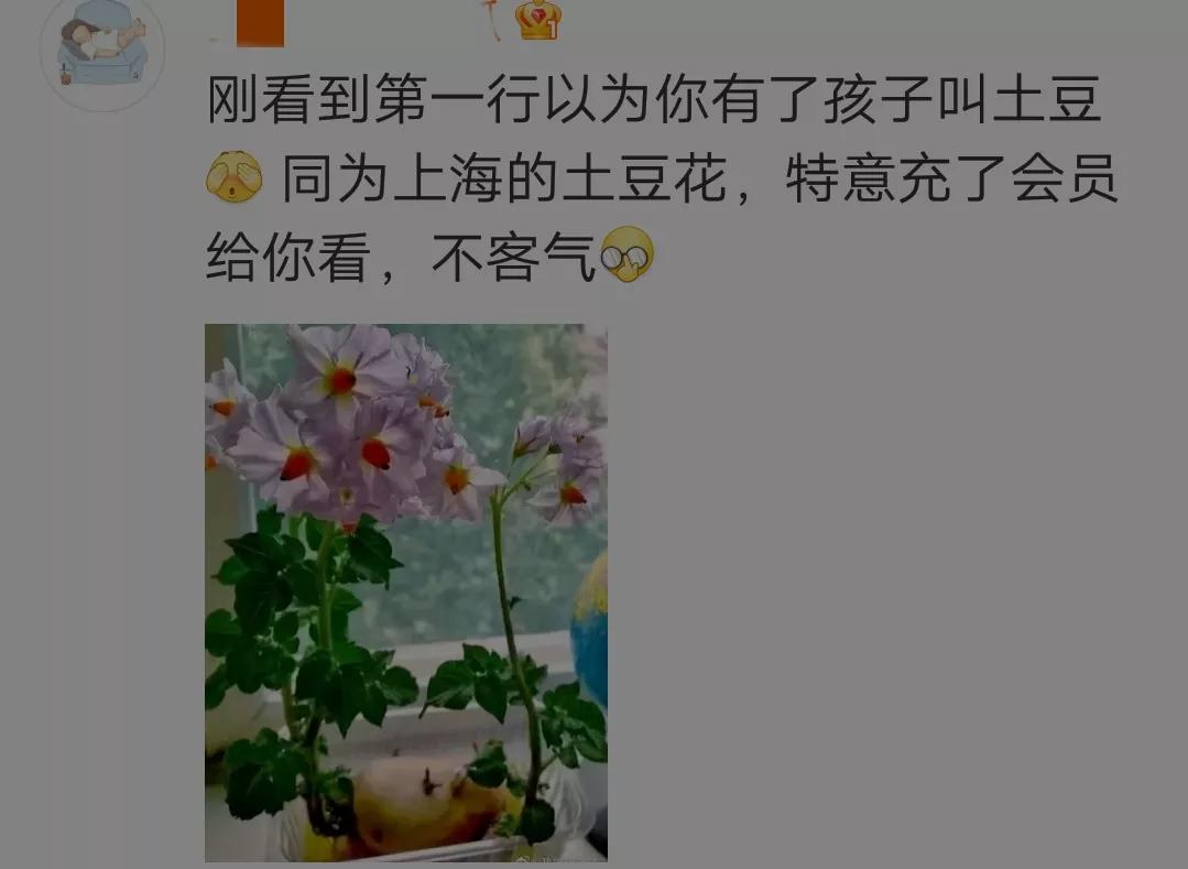 The talk show king is trapped in Shanghai, talking to "potatoes" every ...