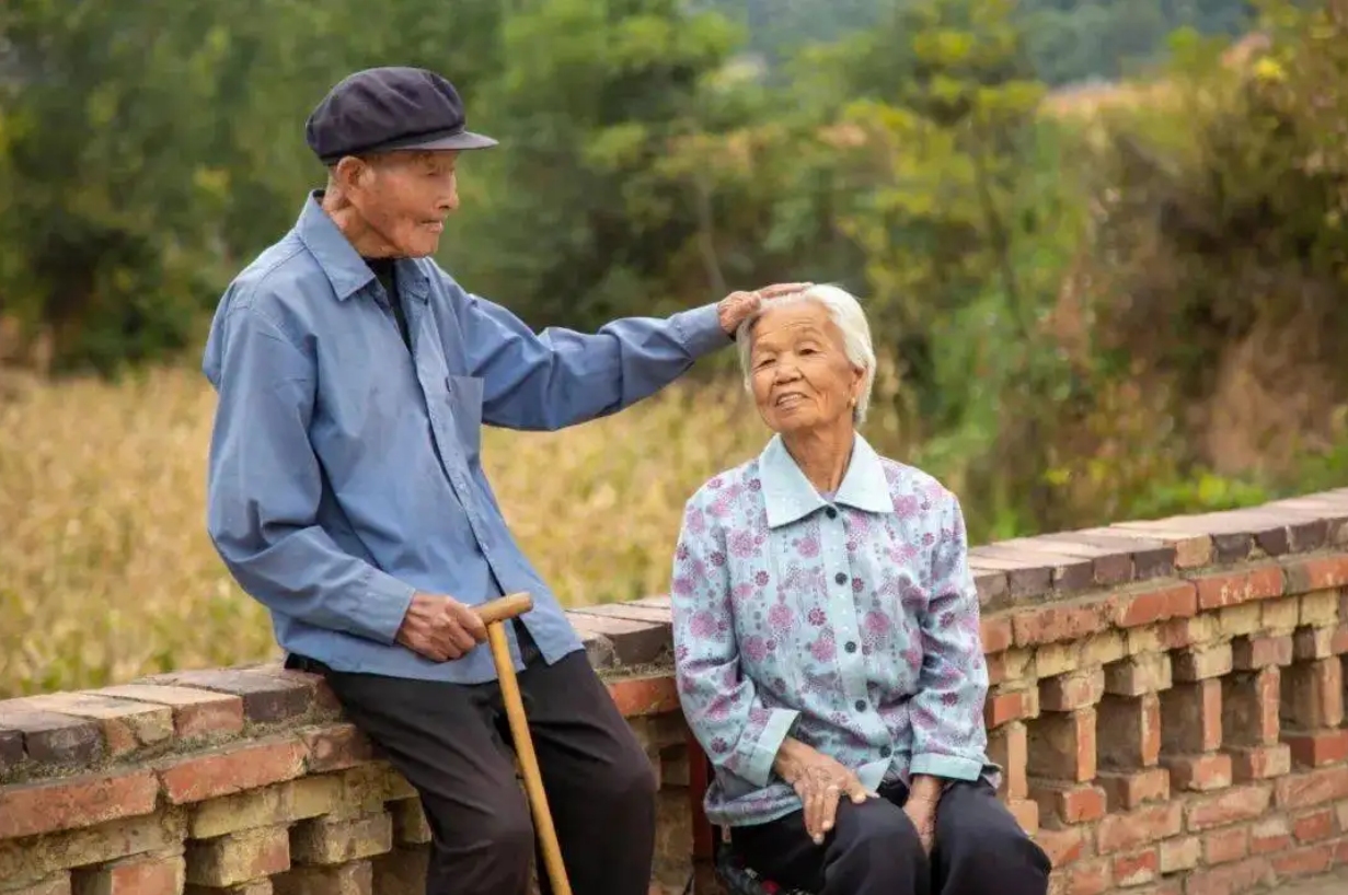 Scientists discover the secret to longevity of male sheep, which may ...