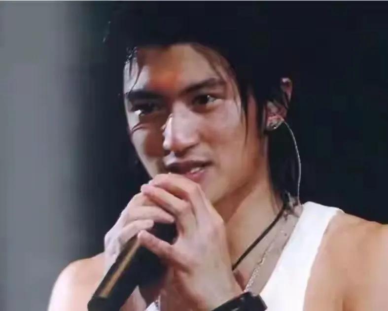 Nicholas Tse's concert: emotional battles and public opinion storms ...
