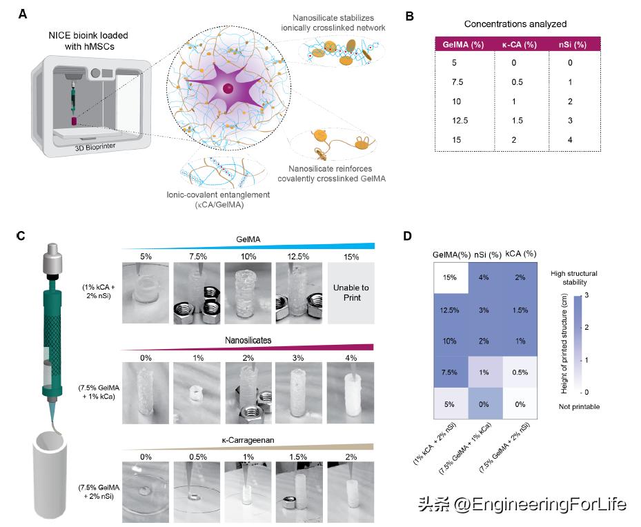 [Bone Repair and Regeneration]In the application, how to choose ...