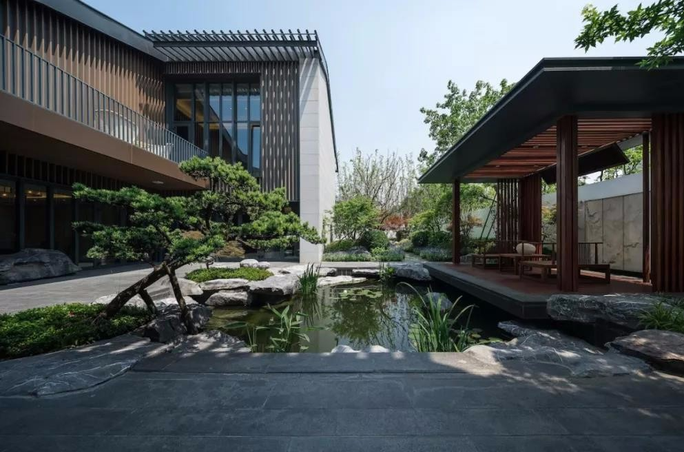 The Application of Aquatic Plants in Garden Waterscape Design - iNEWS