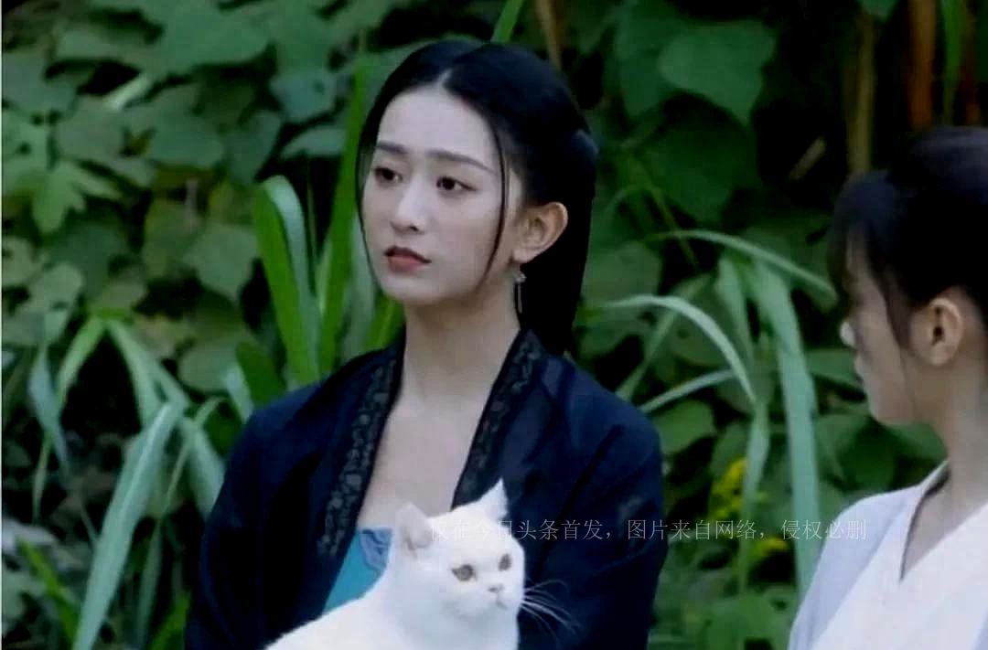How important is an actress's looks? Just look at Li Nian in "Swordsman ...