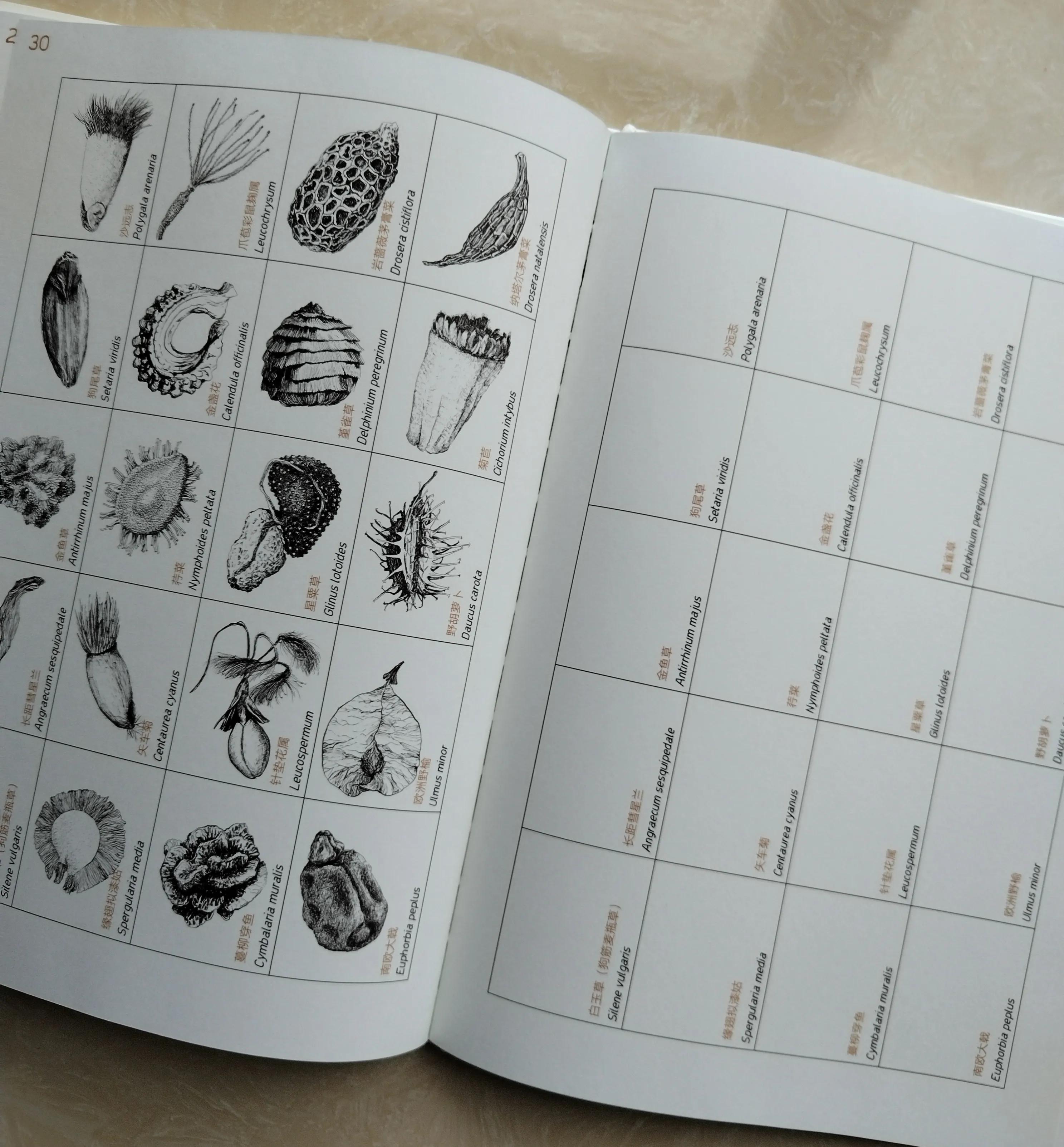 "The World in a Seed": Exploring the Ineffable Power of Life in Nature ...