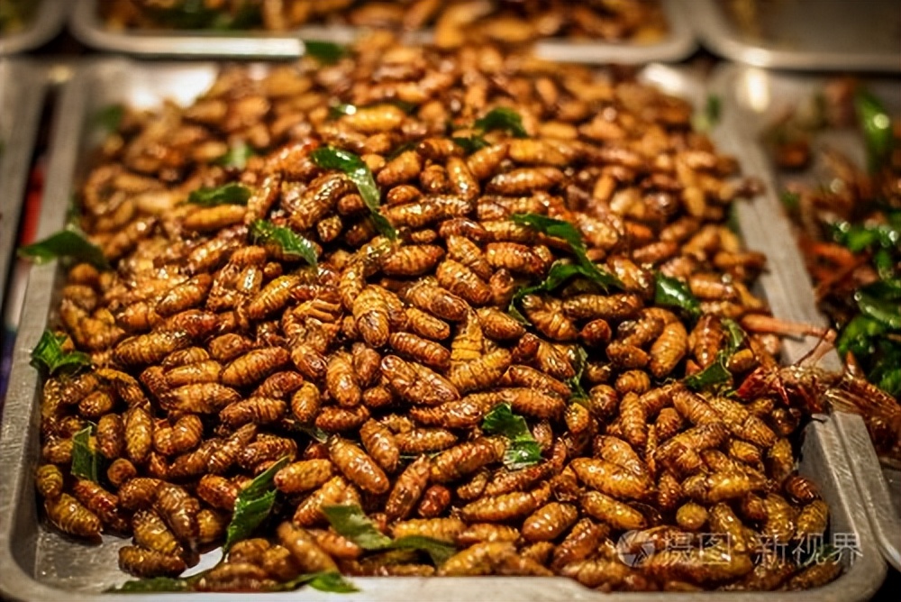 The peculiar delicacies of Yunnan that most people can't eat - iNEWS