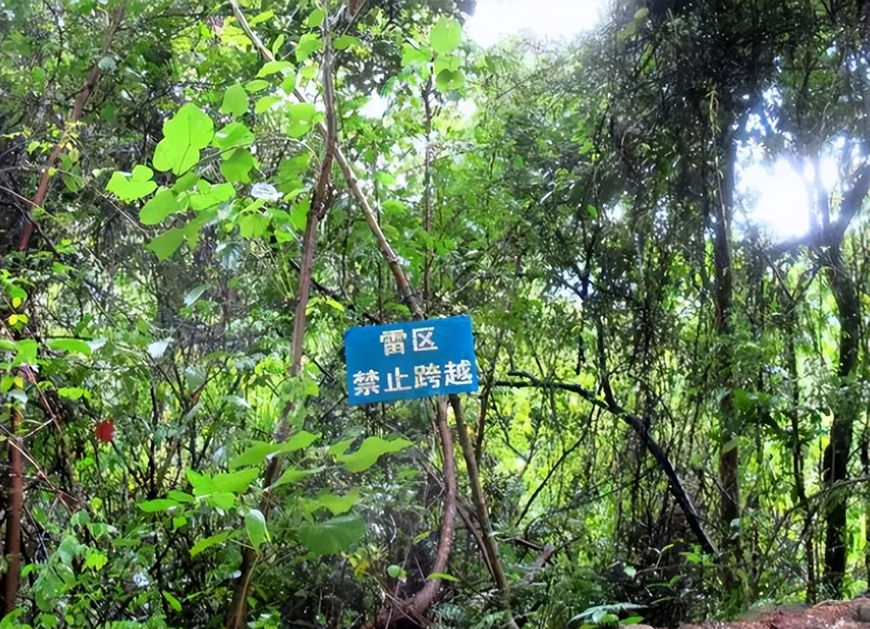The most terrifying demining village in the world, how many landmines ...