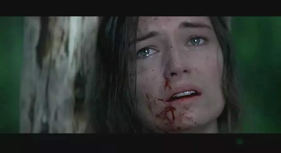 Braveheart:William Wallace's Dream of Freedom and Road to Awakening ...