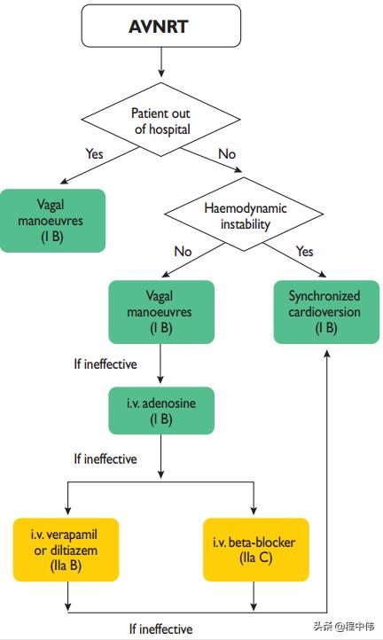 2019 ESC Supraventricular Rate Processing Guidelines (6): AVNRT and ...