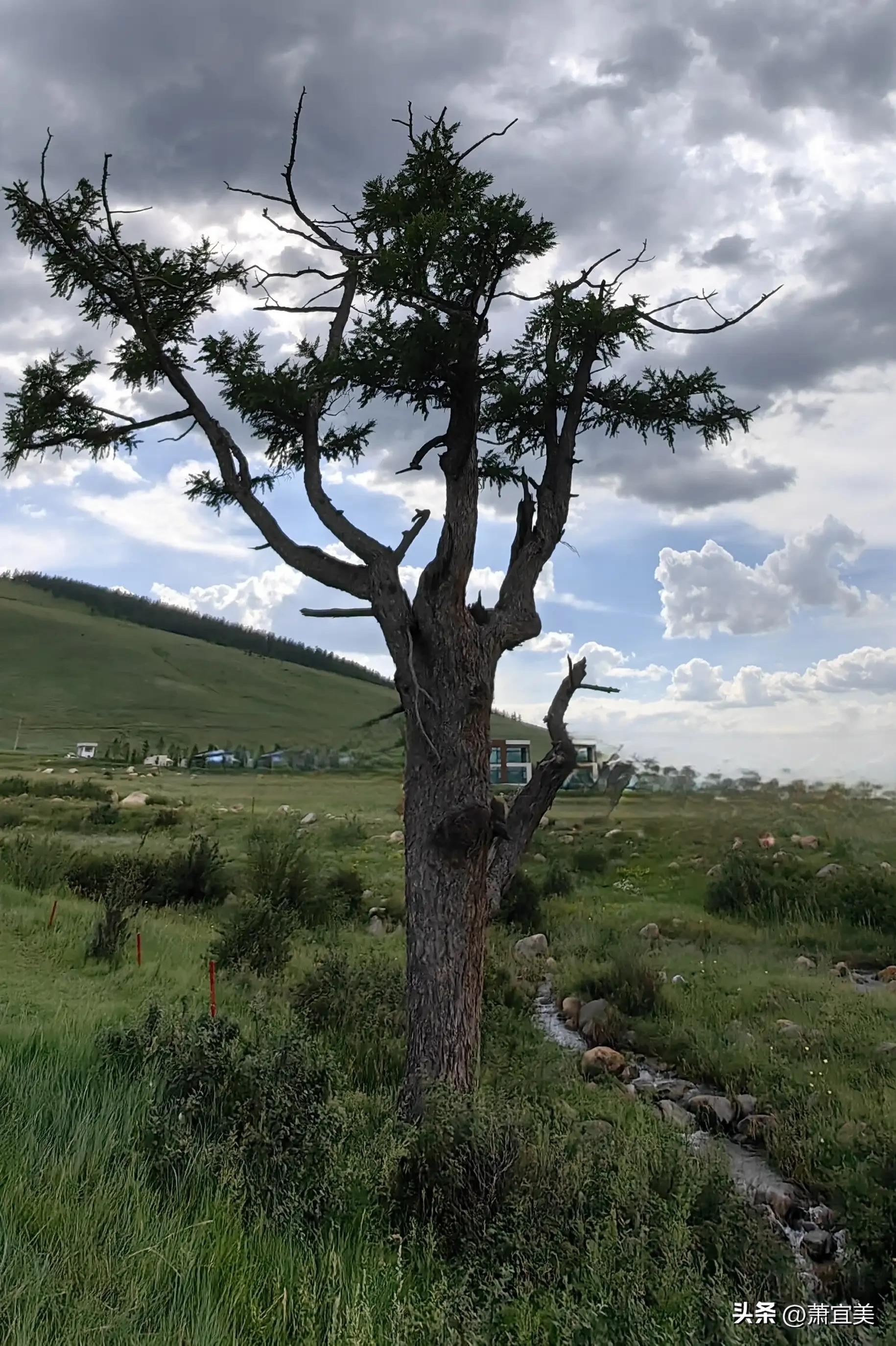 The small stream in the prairie: splitting the grassland! - iNEWS