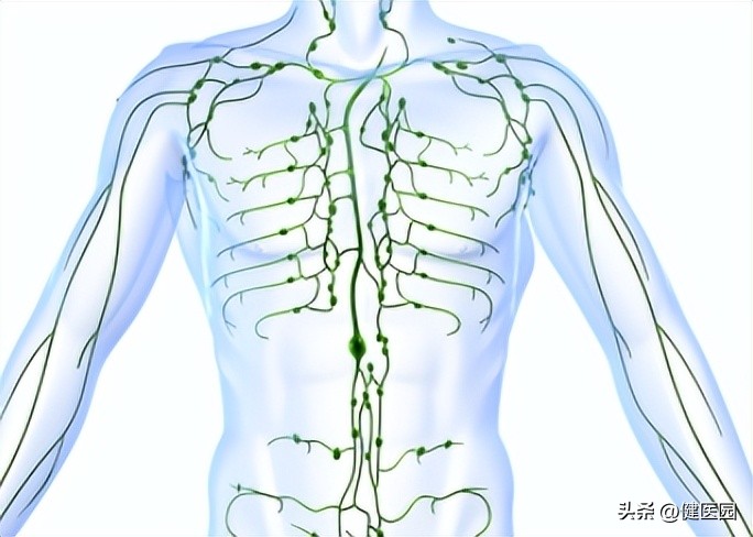 Swollen lymph nodes, signaling a disease signal - iNEWS