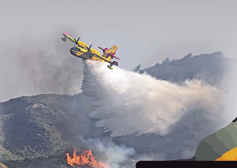 More than 40 dead in wildfires in Mediterranean countries like ...