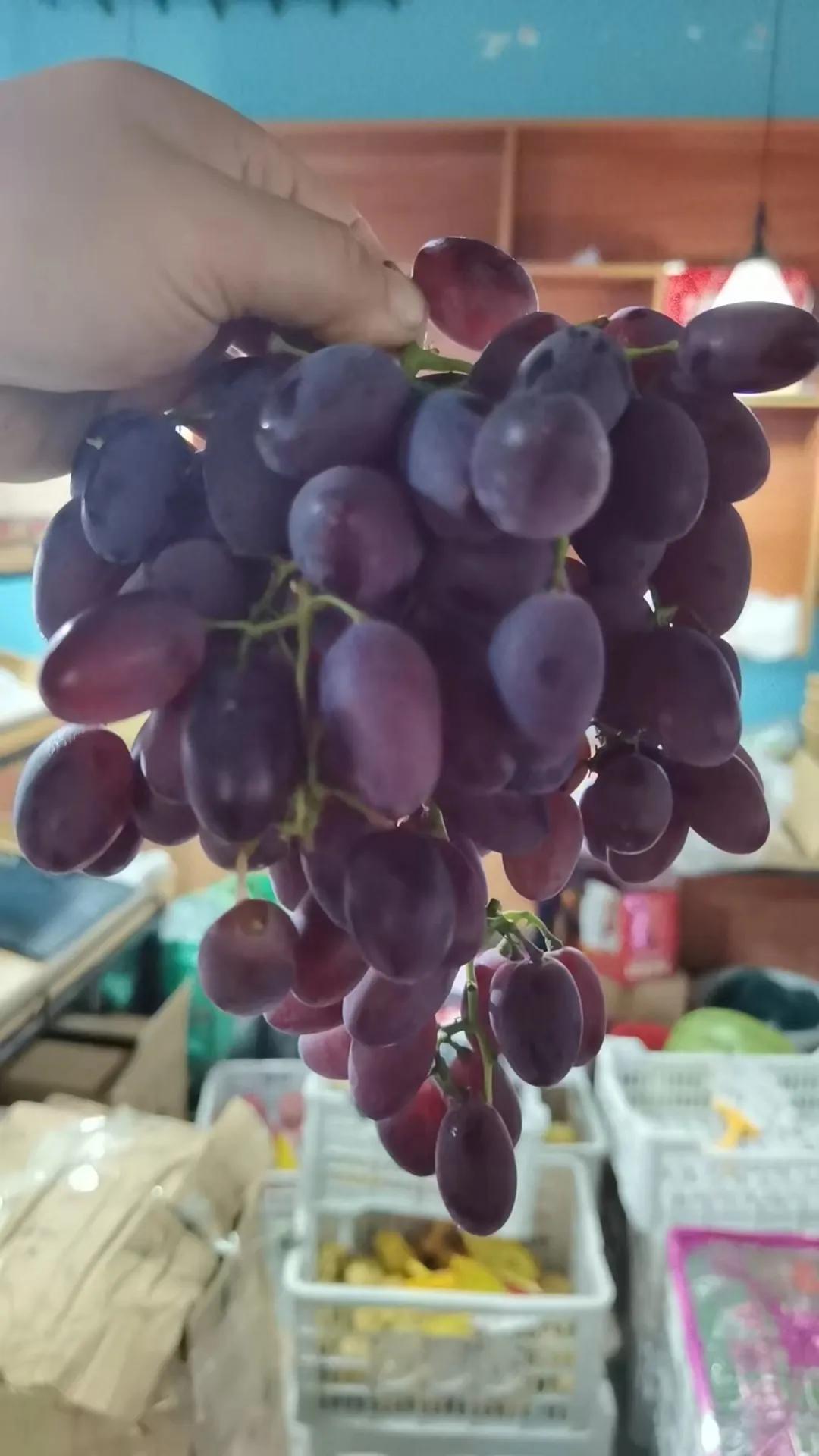 season for grape eaters - iMedia