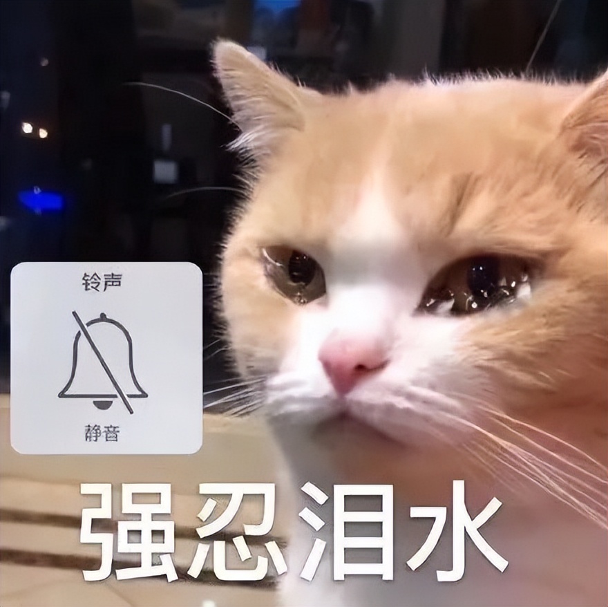 Ah, so what Wang Hedi, Wu Lei, Ding Yuxi and Song Weilong have in ...