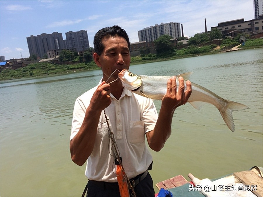 Zijiang Fishing Mouth (Mountain Trail·Liu Aiguo) - iNEWS