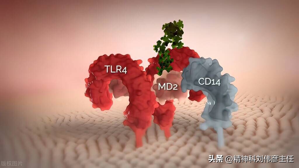 In refractory schizophrenia, the dosage of amisulpride and perospirone ...
