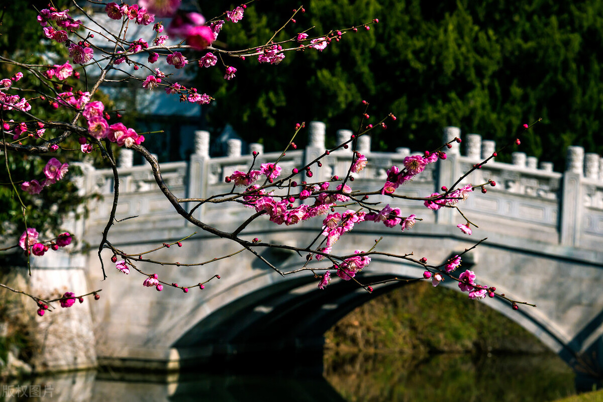 Poems Written in Spring (New Rhyme)——Wang Ping, Gansu - iMedia