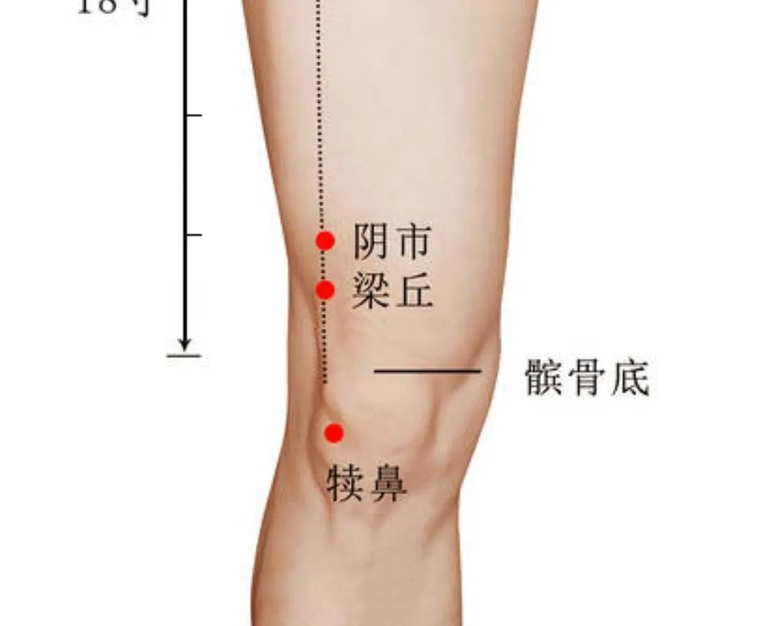 First Aid Point - Qi Point - iMedia