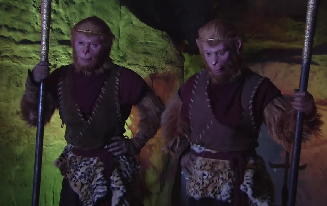 Why do the six-eared macaques still go when they know that they will ...