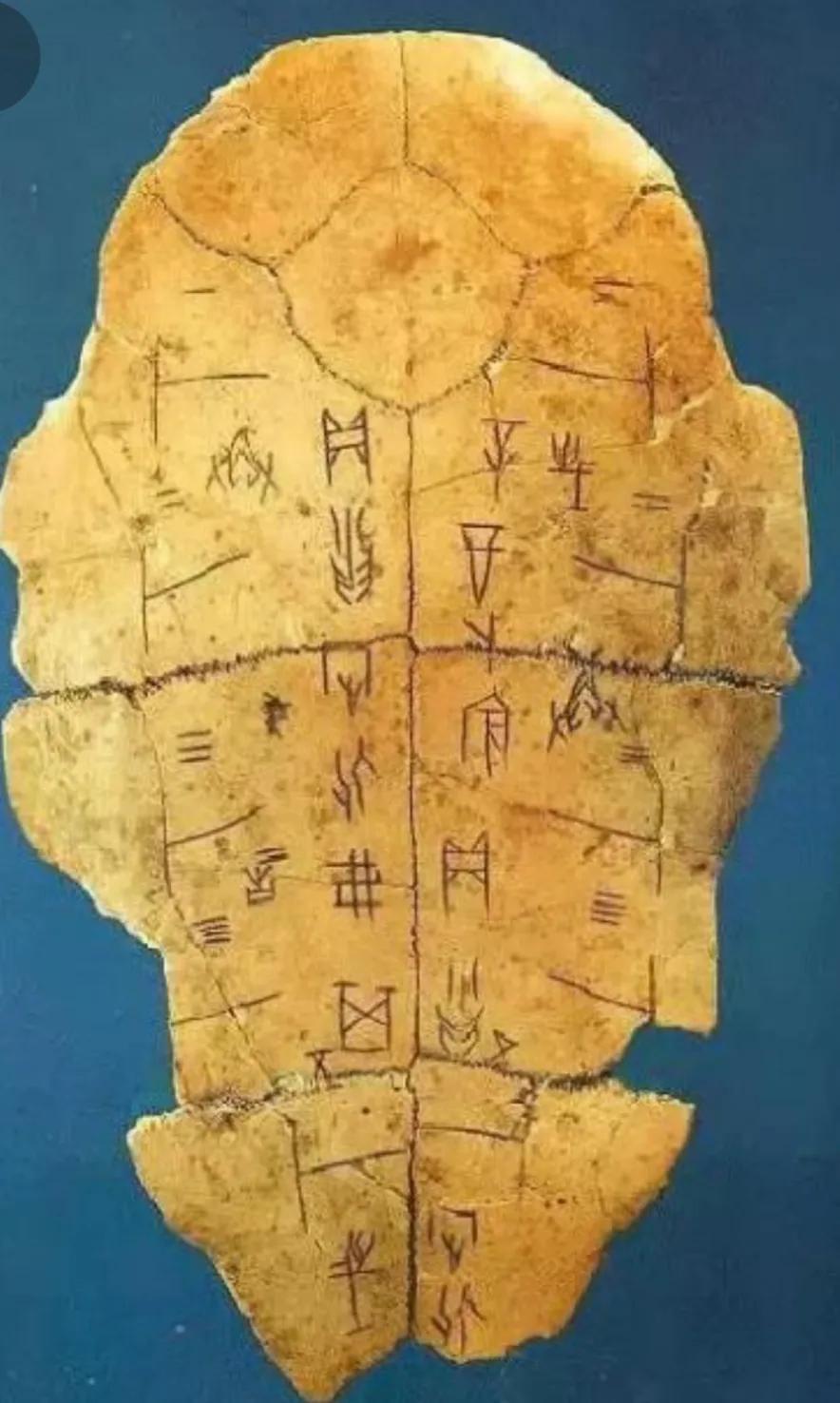 Shangluo, Shangshan, Shangtang, Shangyang and Shangyang - iNEWS