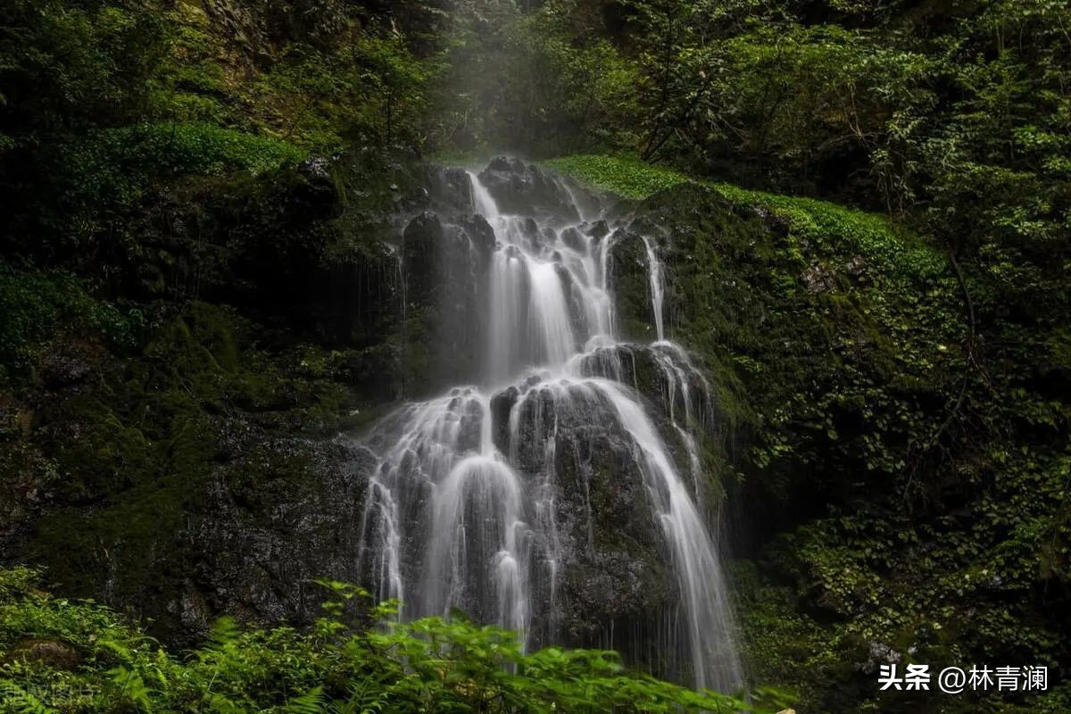 Freedom of choice - iNEWS