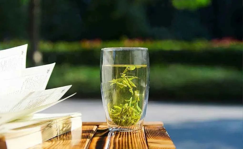 The "Three Casting Method" of Green Tea Brewing - iNEWS