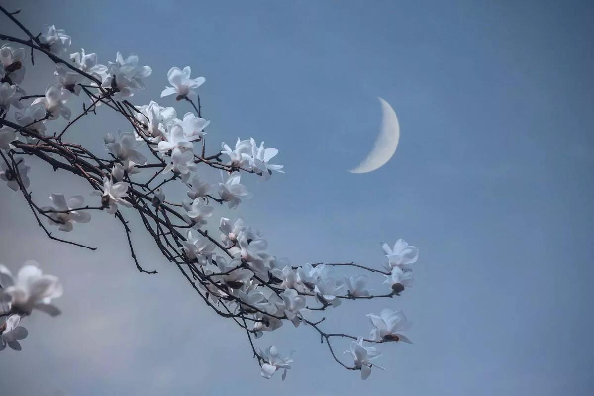 Seven Wonders. Mid-autumn Moon Appreciation (External Song) - iNEWS