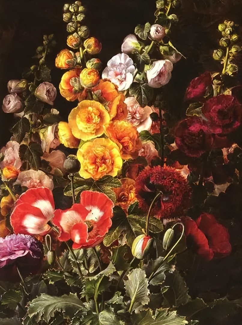The historical and cultural significance of flowers during the Kingdom ...