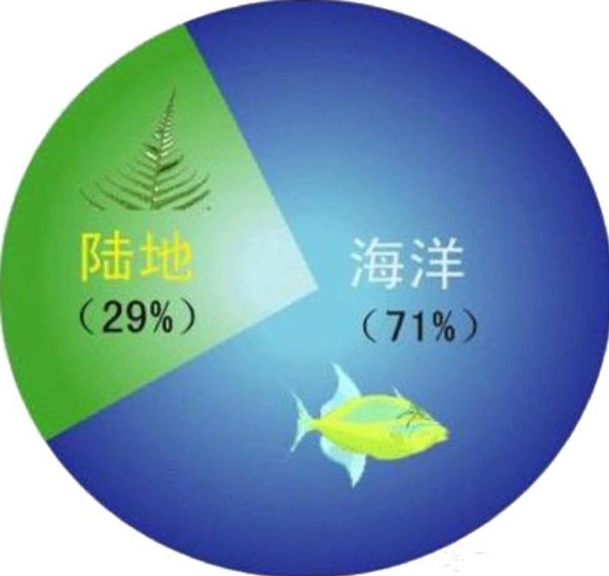Scientist: Humans evolved from fish, and fossils are evidence to reveal ...