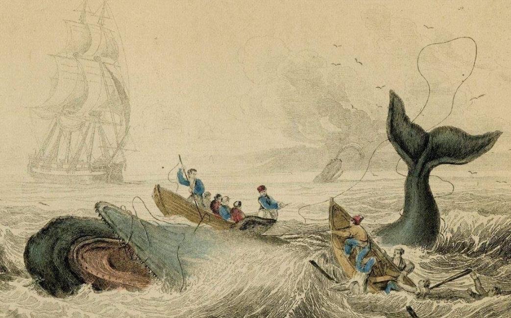 A brief analysis of the exploration process of the British on the polar ...