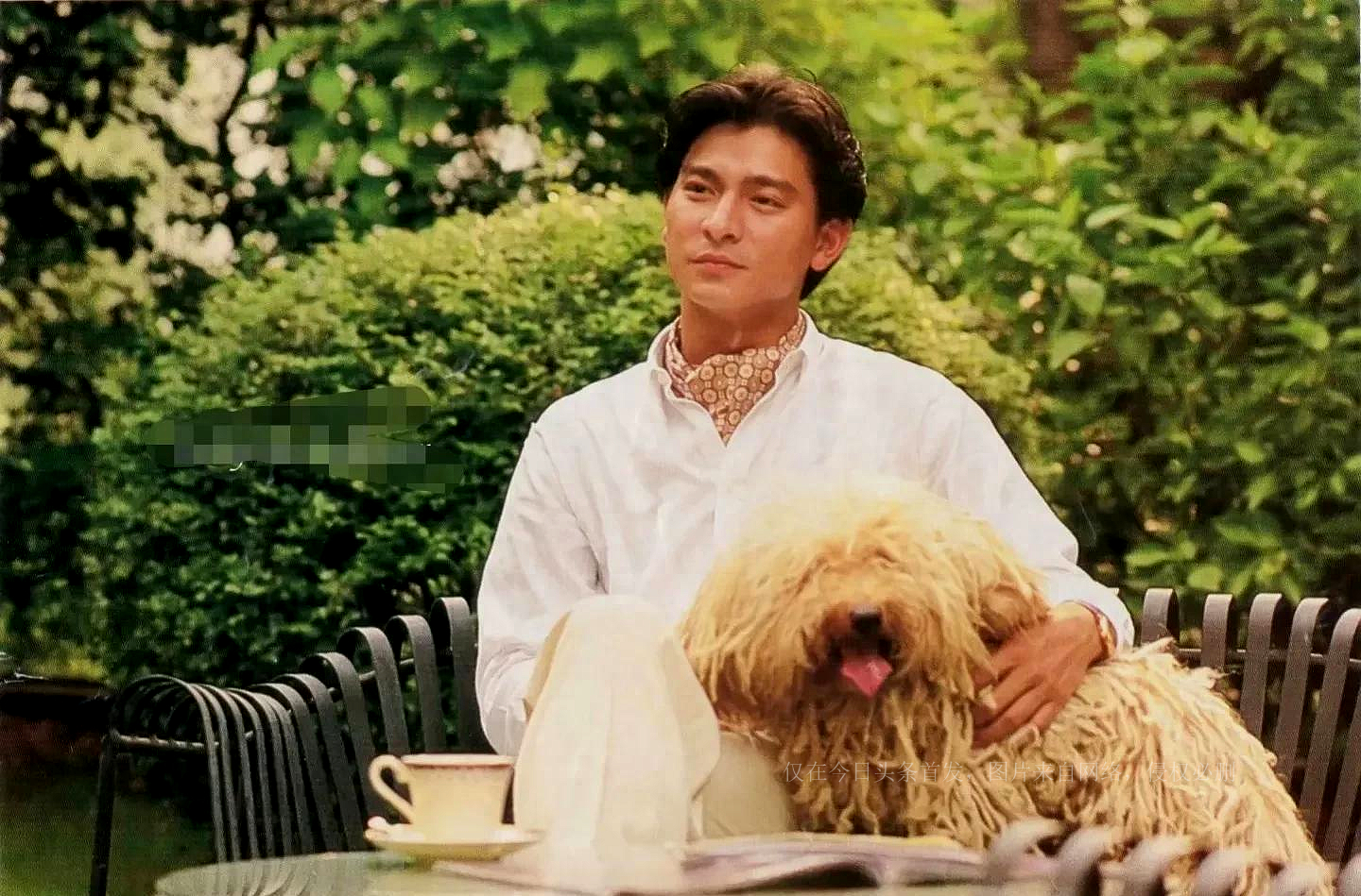 5 male stars who are "not tall enough, but good looks make up for it ...