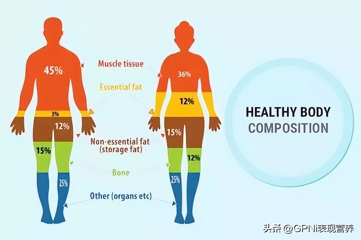 Basic principles of weight change - iNEWS