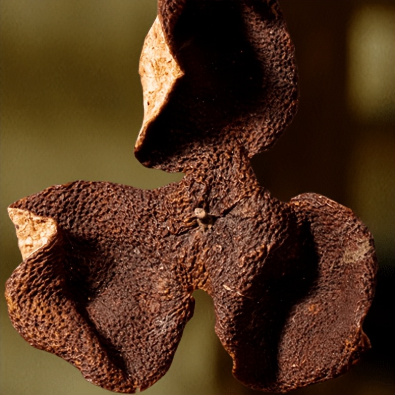 How to choose a good Xinhui tangerine peel?look here - iNEWS