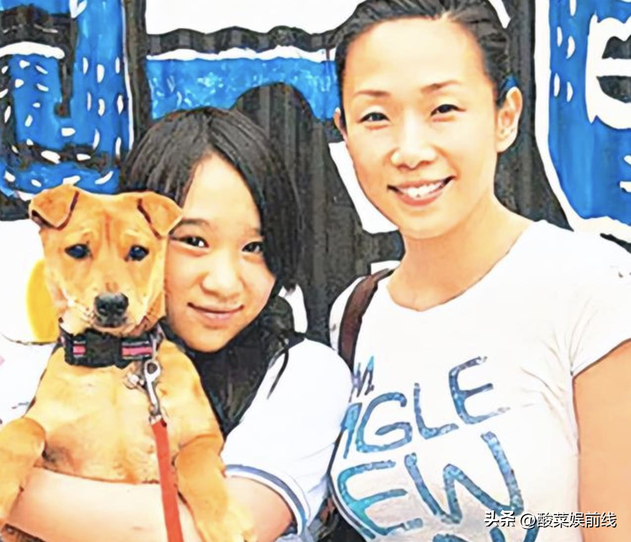 56-year-old Lin Yilian disappeared?Wu Feng revealed her latest ...