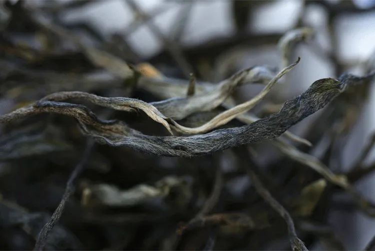 Seven reasons why Pu-erh tea has a numb taste - iMedia