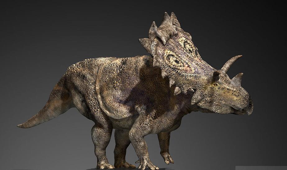 Gorgeous ceratopsian (3) - iNEWS
